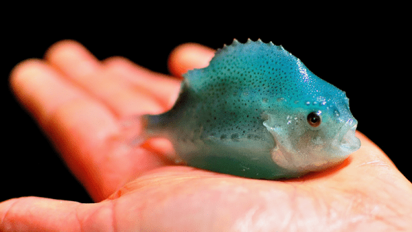 News - Atlantium Technologies Ltd.